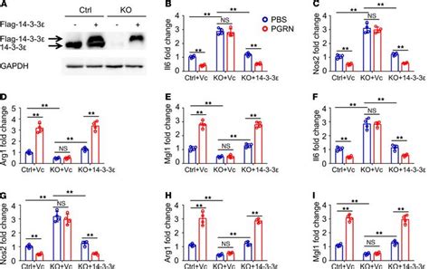 Jci Tnfr2 14 3 3ε Signaling Complex Instructs Macrophage Plasticity In Inflammation And