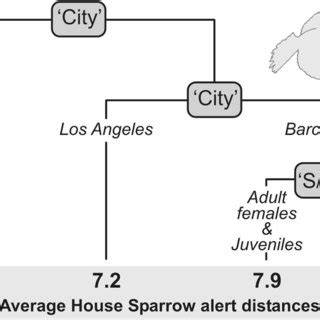 Classification And Regression Tree CART Relating City And Sex Age Download Scientific