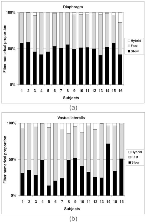 Variability Between Subjects With Regard To The Numerical Proportions