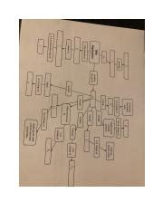 Dna Replication Concept Map Pdf Course Hero