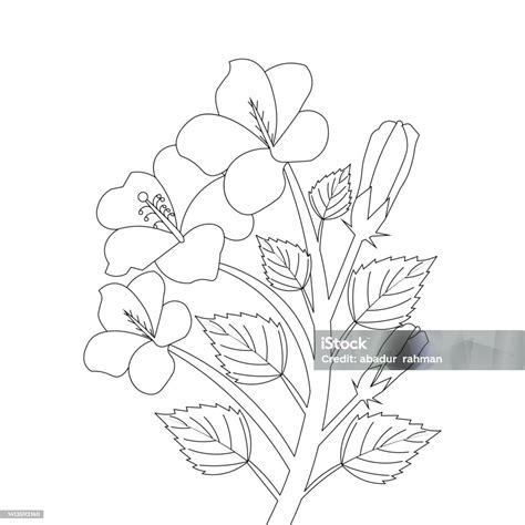 라인 아트 스트로크가있는 히비스커스 꽃 그림의 어린이 색칠 공부 페이지 0명에 대한 스톡 벡터 아트 및 기타 이미지 0명 Hibisceae 개체 그룹 Istock