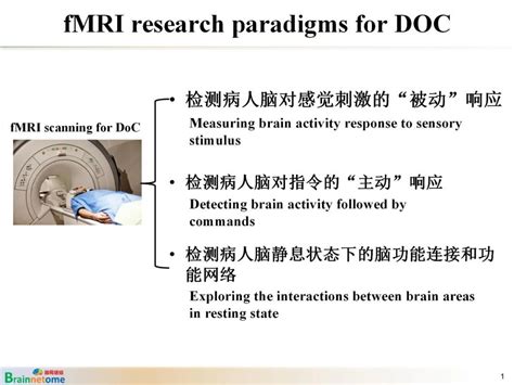 doc联盟交流会（2）：意识障碍疾病的个体化脑功能网络分析与预后预测及工具研究 脑医汇