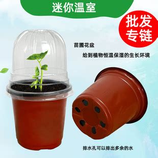 双色杯加仑盆育苗红底花盆透明罩套保温透气营养钵组合套装 阿里巴巴