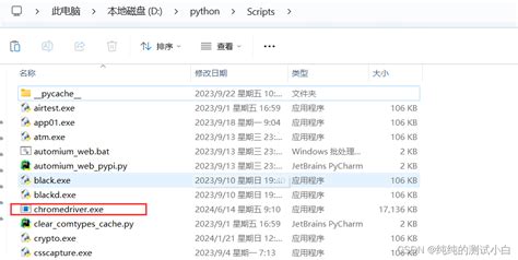 谷歌浏览器驱动下载安装以及方法 Csdn博客