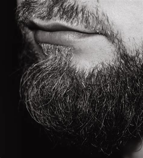 Hairy Lips Of A Man Macro Stock Image Image Of Masculine 271668223