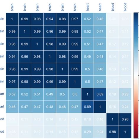 Correlation Matrix Of The Brain Six Technical Replicates Heart Two
