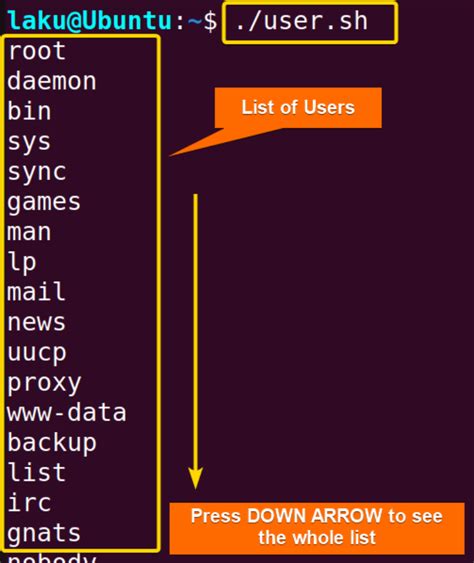 how to list users in bash [2 easy ways]