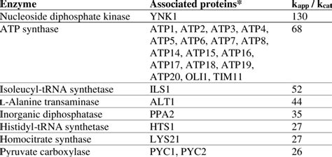 list of enzymes whose kapp exceed kcat values by at least 10 fold