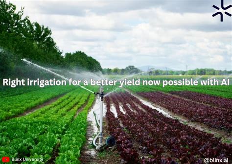 Right Irrigation For A Better Yield Now Possible With Ai By Blinx Ai