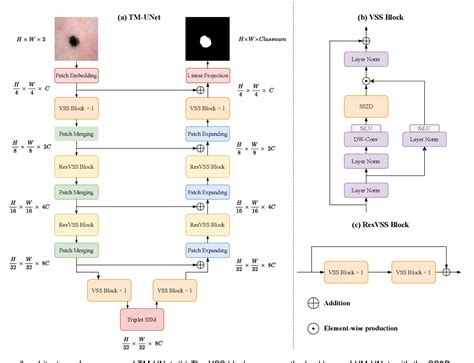 Rotate To Scan Unet Like Mamba With Triplet Ssm Module For Medical