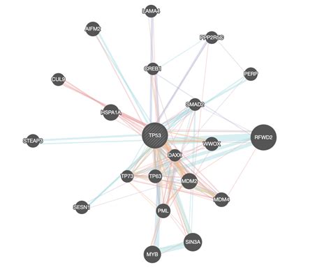 Using layouts · Cytoscape.js