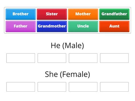 Family Member He She Sorting Group Sort