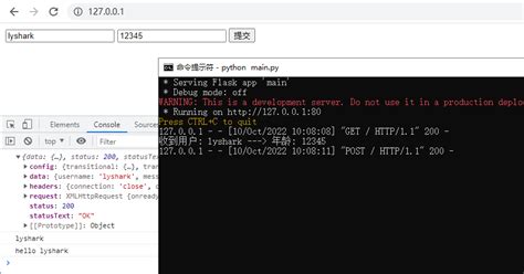 Flask 框架：运用axios库实现前后端交互 Lyshark 博客园