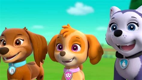 36 Skye Everest And Liberty Ideas In 2026 Skye Paw Patrol Skye Paw