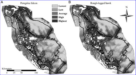 Predictive Map Showing The Locations Of Used Nesting Sites Black