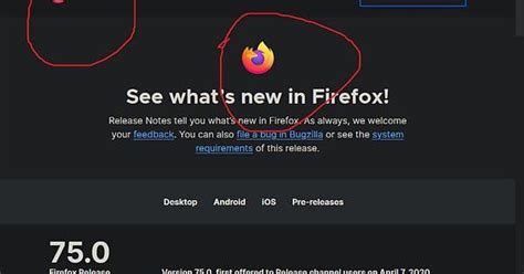 Why Does Firefox Have Two Different Symbols Firefox