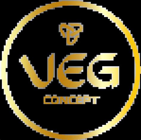 Réalisation de projet VEG Concept