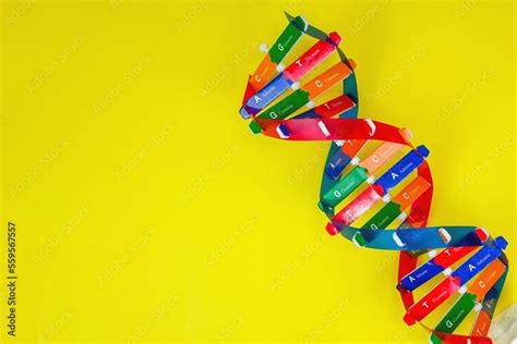 Dna Helix Structure Code Made Up Of Four Chemical Bases Adenine