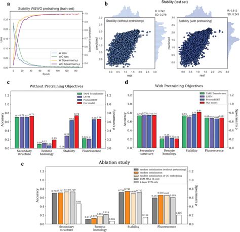 Model Performance On Protein Property Benchmarks The Evaluation Metric