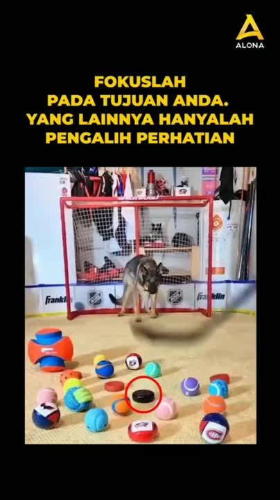 Video Ruli Januari On Linkedin Video Of This Week Positivevibe From Here We Can Learn To Be