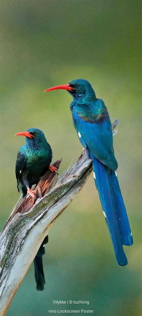 Faridul Islam Posted On Linkedin