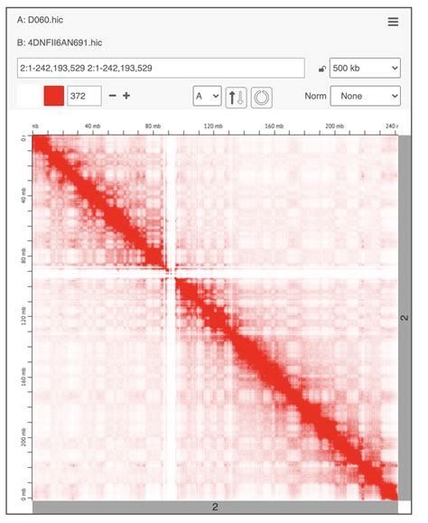 HiC Maps Differ When Two Files Loaded BUG Issue Aidenlab Juicebox GitHub