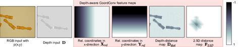 Visualizations Of Feature Maps Calculated Using Depth Aware Coordconv