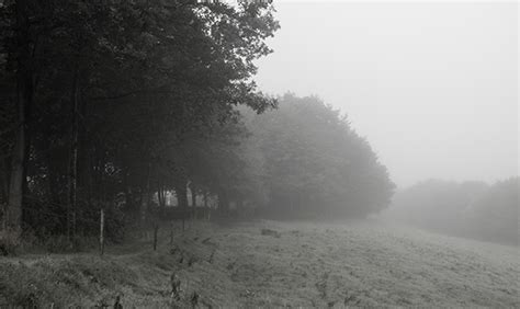 Pictures of Jutland on Behance