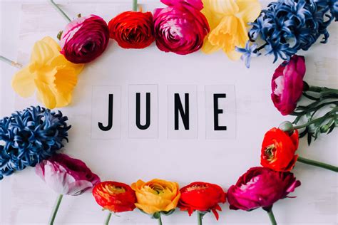 June 2021 Newsletter Flying Fish Winery