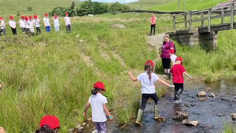 Rushcroft Primary School Home