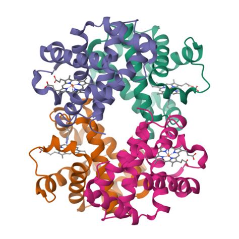 Rcsb Pdb 1jy7 The Structure Of Human Methemoglobin The Variation Of A Theme
