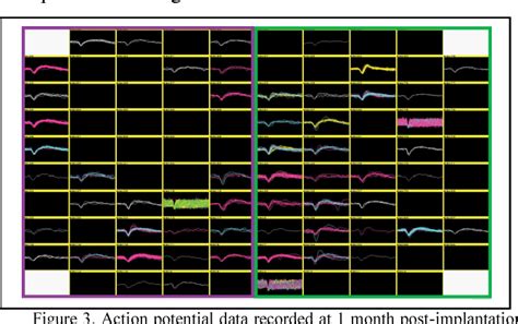 Figure 3 From The Use Of A Novel Carbon Nanotube Coated Microelectrode Array For Chronic