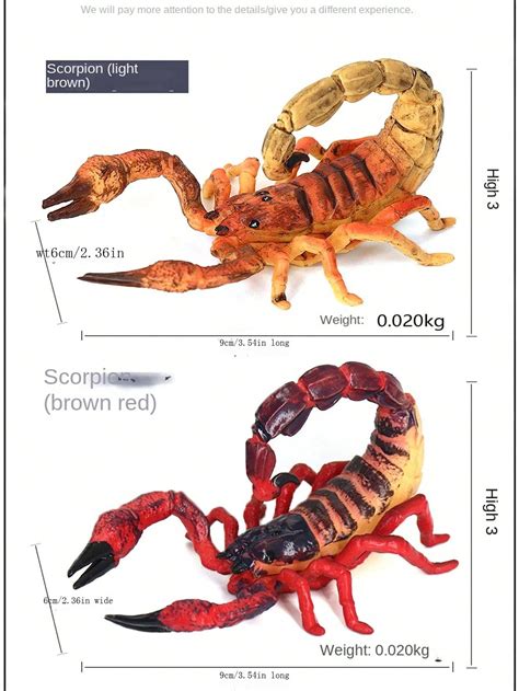 زخرفة نموذج العقرب الواقعية لتعليم الأطفال والإدراك، هدية لعشاق العلم