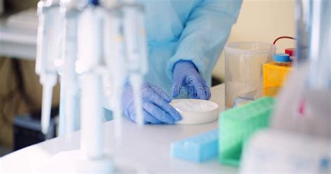 Female Assistant Sorts Medical Tools In Lab Stock Footage Video Of