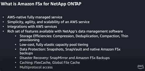 Amazon FSx For NetApp ONTAP FSxN Hits GA StorageReview Com