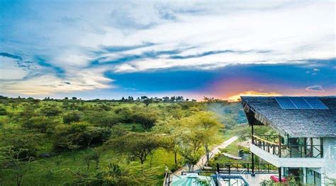 Masai Mara Kitumo Mara Lodges Private 3 Days Safari Getyourguide