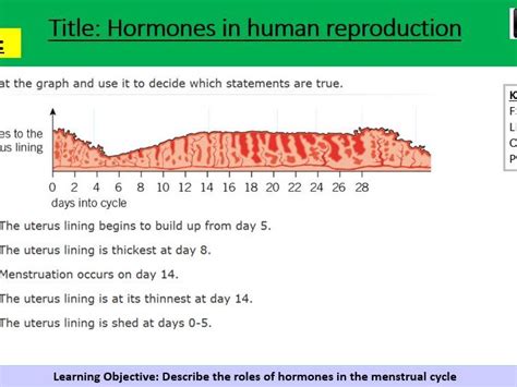 Hormones In Human Reproduction Teaching Resources