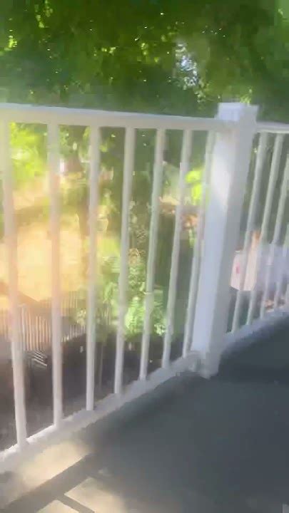 Im Locked Inside Youtube