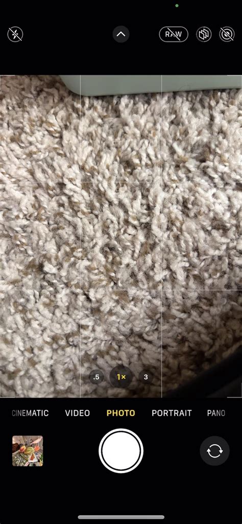 Iphone 13pro Camera Freezes In And Out Rios