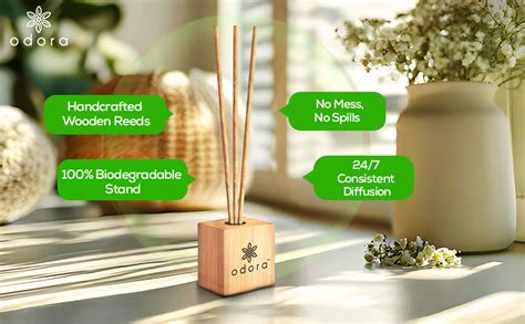 Odora Liquidless Reed Diffuser Lime And Basil Infused With Essential