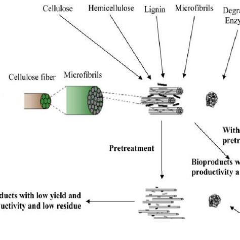 PDF Chemical Pretreatment Of Lignocellulosic Biomass For The Production Of Bioproducts An