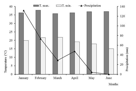 Maximum T Max And Minimum T Min Temperatures And Precipitation