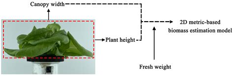 Development Of Lettuce Growth Monitoring Model Based On Three Dimensional Reconstruction Technology