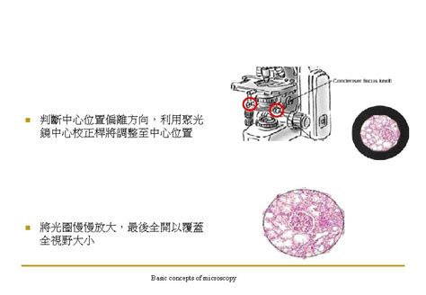 Basic Concepts Of Microscopy Basic Concepts Of Microscopy