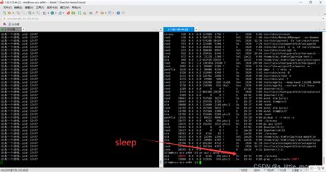 【linux】进程状态和优先级进程状态 Tl Csdn博客