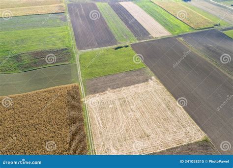 Soil Types Yellow Soil Type Sandy And Hard Rock Yellow Soil Soil