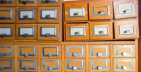 The Taxonomy Explained Definitions And Categories