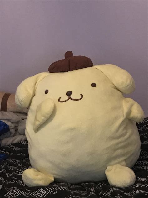 My Official Pompompurin Plushie Arrived Today I Bought Him On Depop