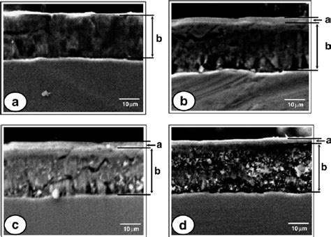 Cross Sectional Om Micrographs Of A Pre Treated Sample And Duplex