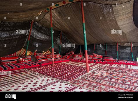 Why Are Bedouin Tents Black At Alicia Purdy Blog